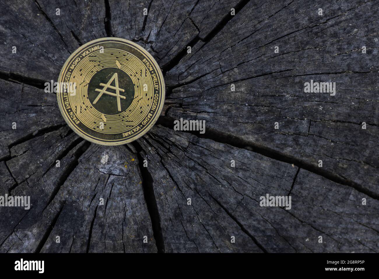 Tree chart vector hi-res stock photography and images - Alamy