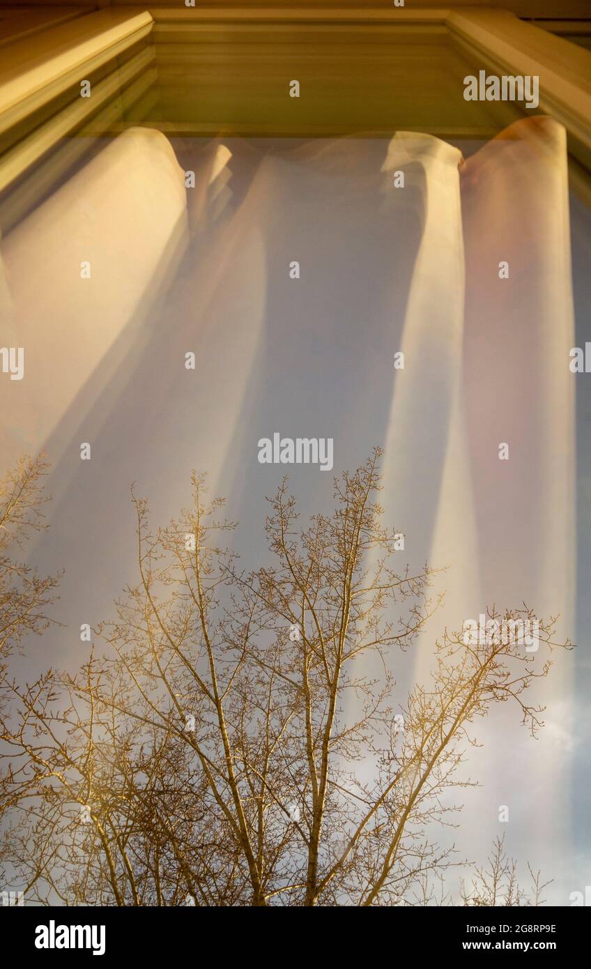 View of the street through the window, which reflects the curtains ...