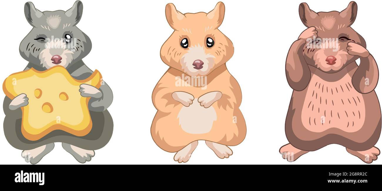 Three realistic hamsters on a white background - Vector illustration ...