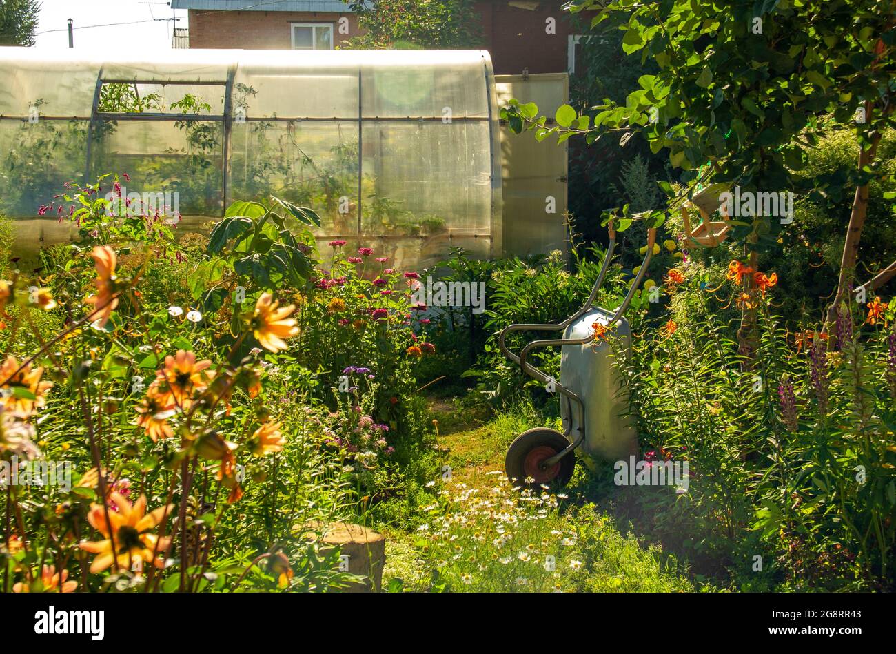 Implements tools farming hi-res stock photography and images - Alamy