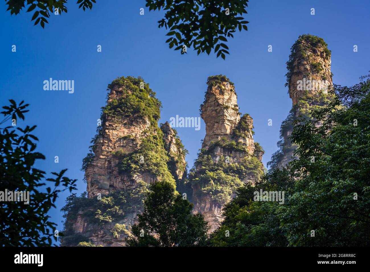 The Gathering of Heavenly Soldiers scenic rock formations, Avatar ...