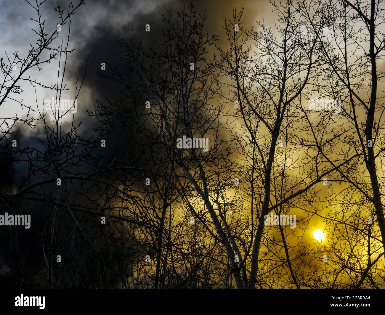 Smoke wild fire bush hi-res stock photography and images - Alamy