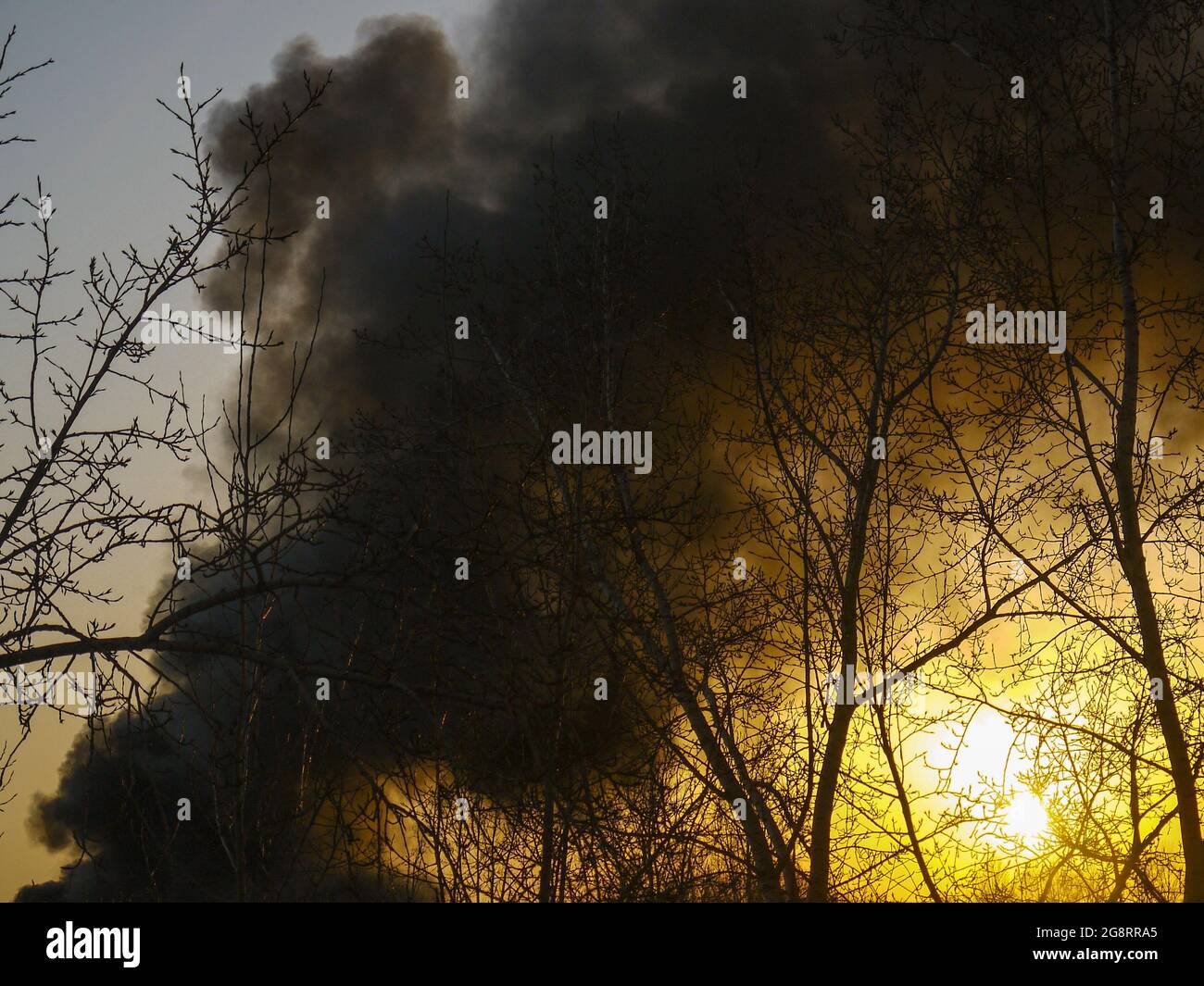 View of the yellow sun through a forest fire Stock Photo - Alamy