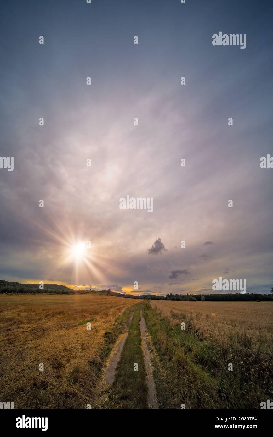Dry road and sun through trees hi-res stock photography and images - Alamy