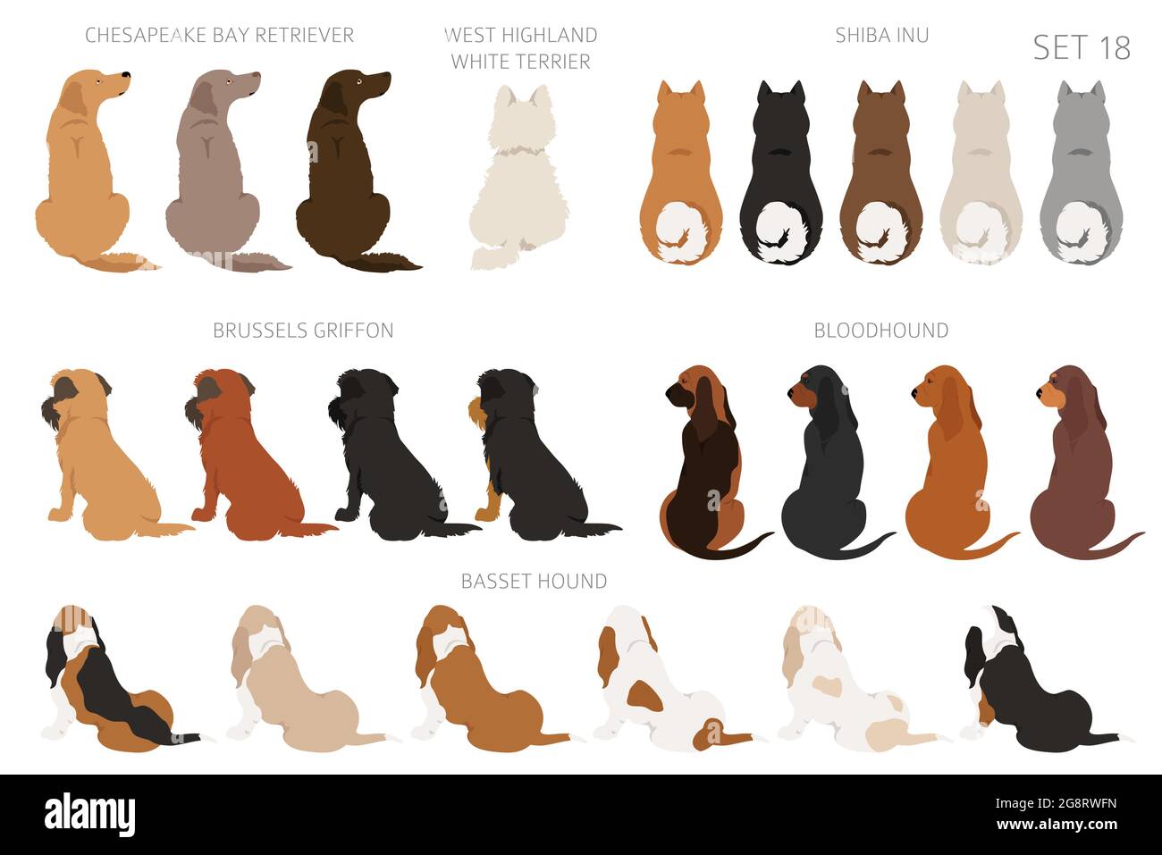 Sitting dogs backside clipart, rear view. Diifferent coat colors ...