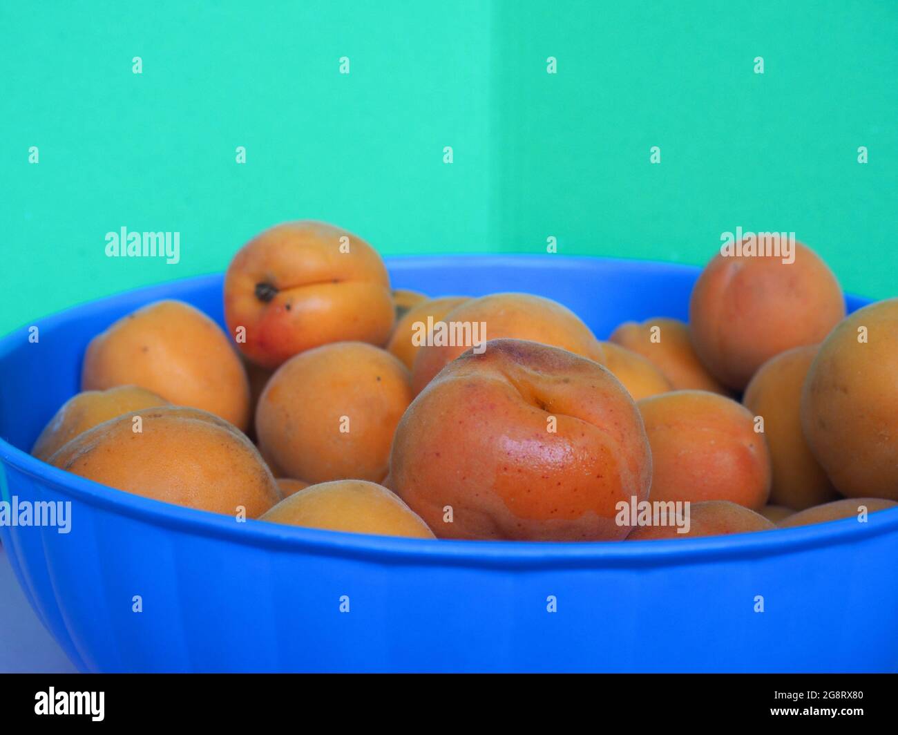 orange apricot (scientific name Prunus armeniaca) vegetarian fruit food Stock Photo - Alamy