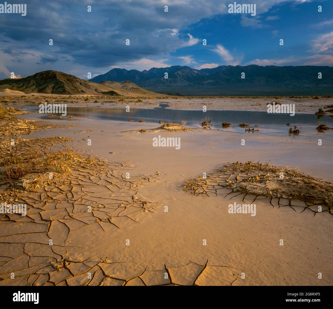 Amargosa River, Saratoga Springs, Avawatz Mountains, Death Valley ...