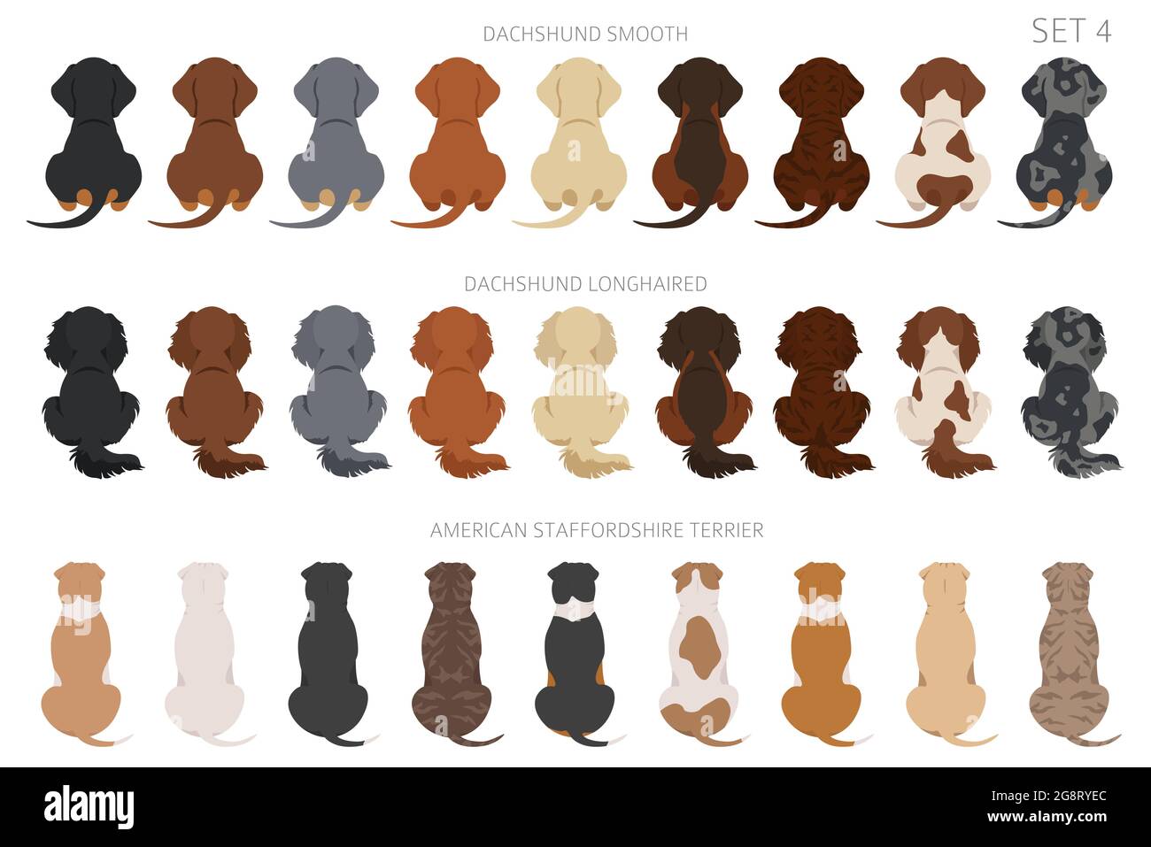 Sitting dogs backside clipart, rear view. Diifferent coat colors ...