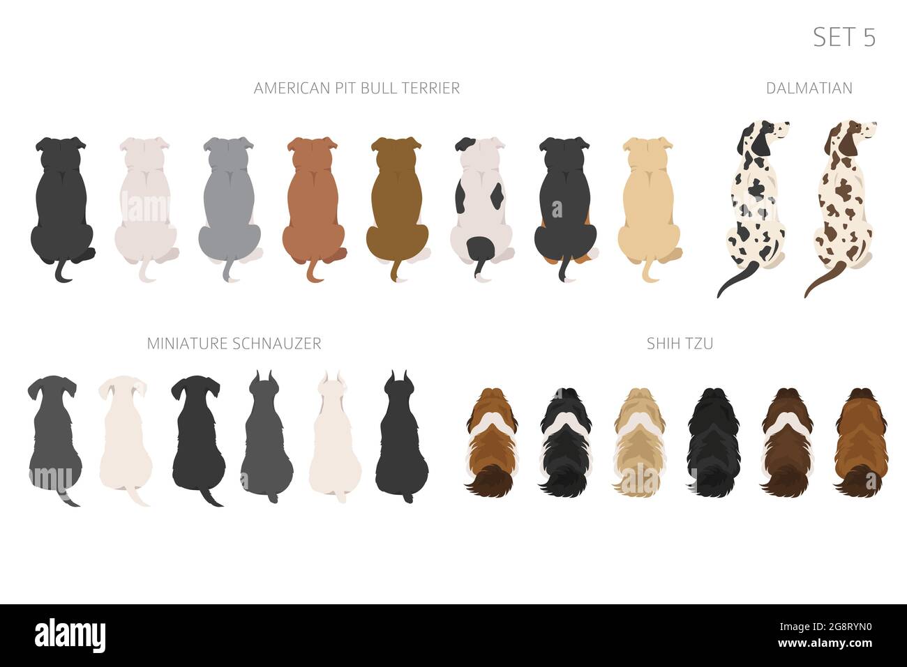Sitting dogs backside clipart, rear view. Diifferent coat colors ...