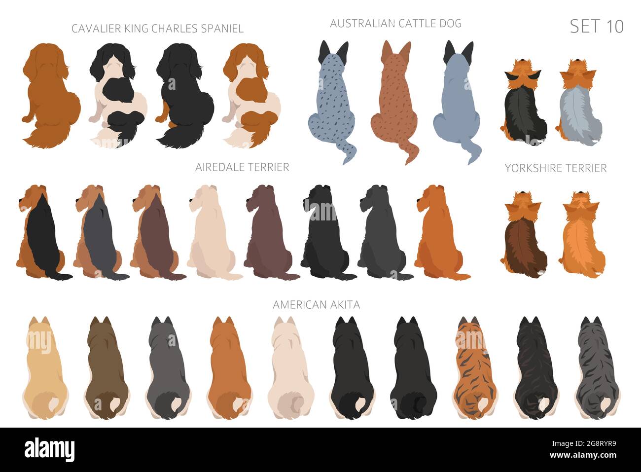 Cavalier puppies Stock Vector Images - Alamy