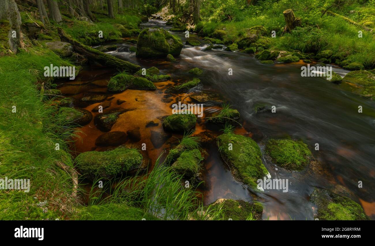 Color summer Studena Vltava river near Stozec village in national park ...