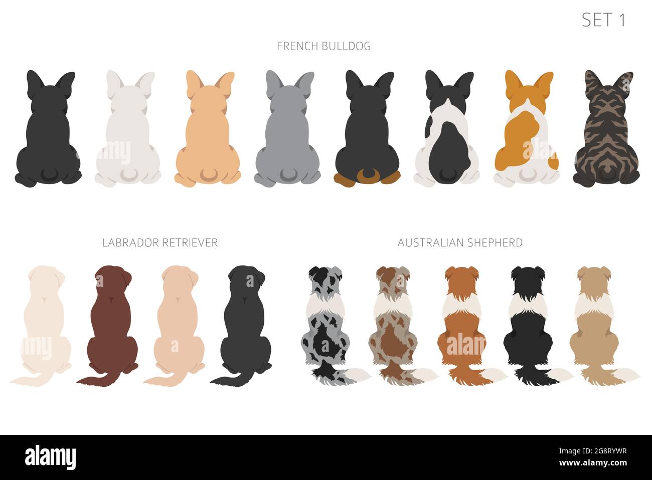 Sitting dogs backside clipart, rear view. Diifferent coat colors ...