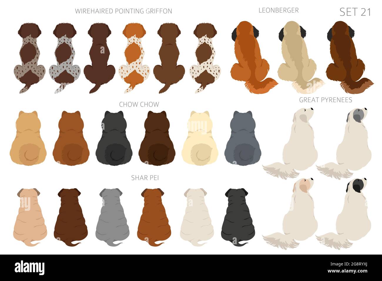 Sitting dogs backside clipart, rear view. Diifferent coat colors ...