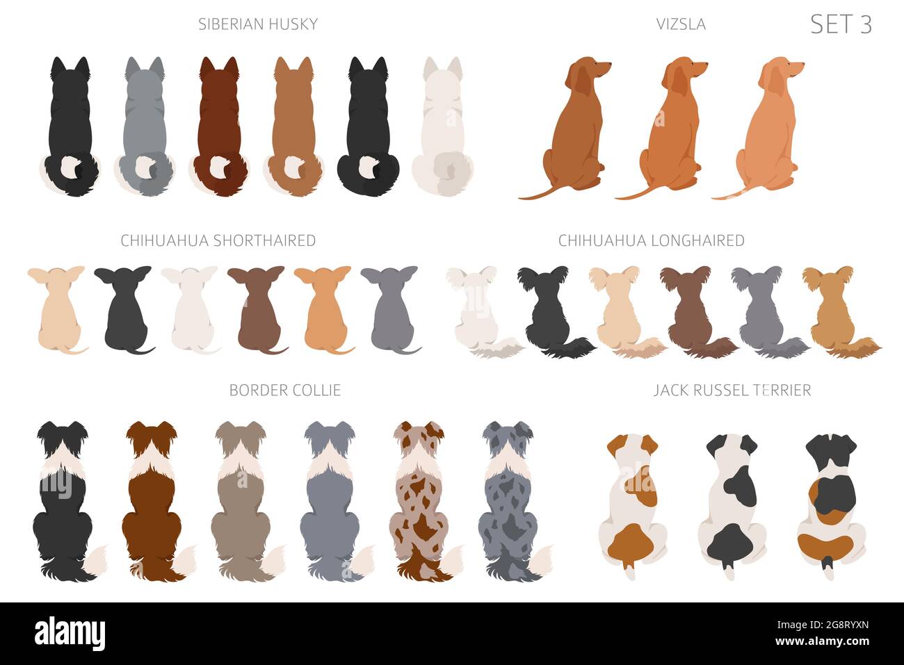 Sitting dogs backside clipart, rear view. Diifferent coat colors ...