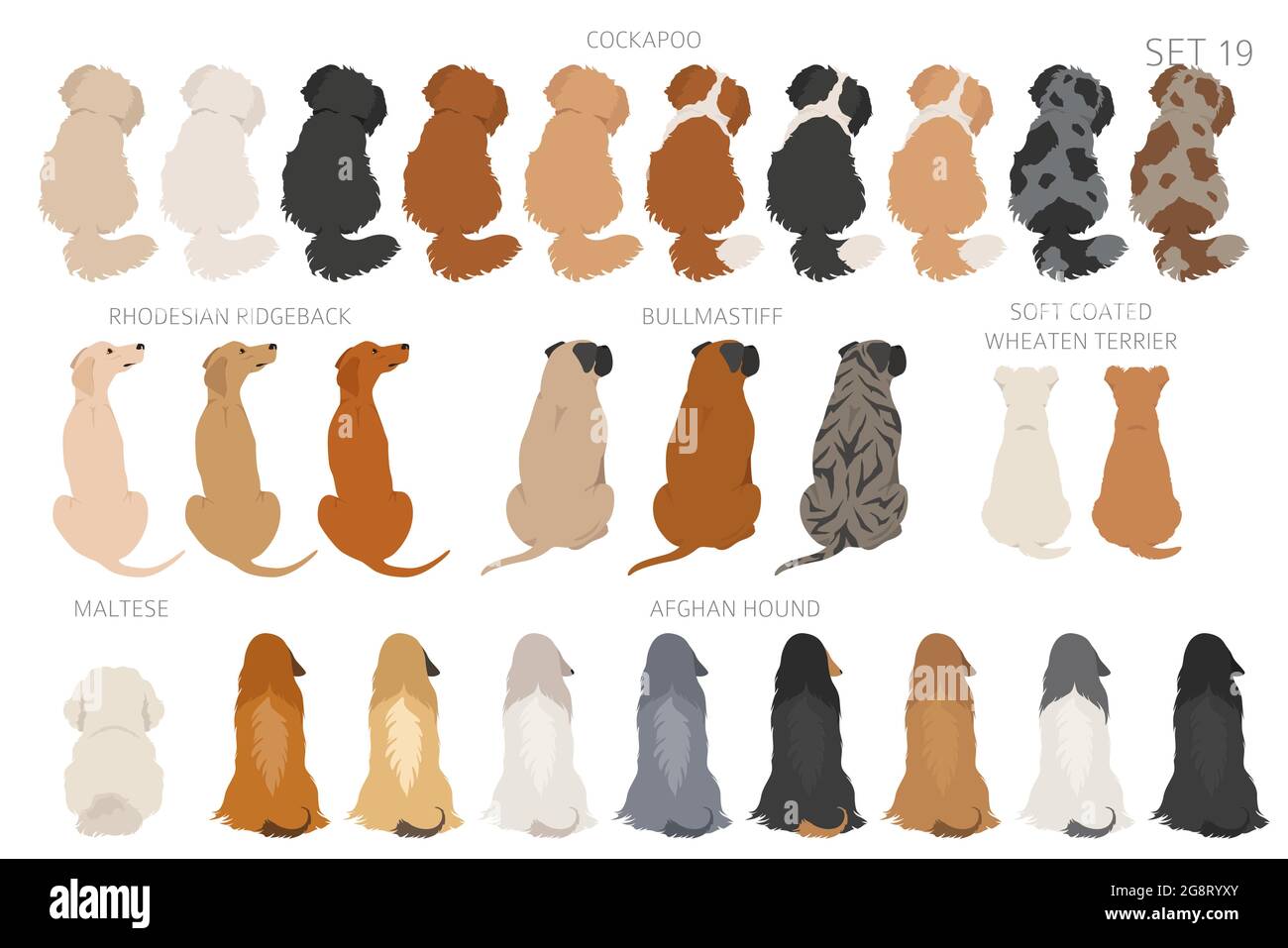 Sitting dogs backside clipart, rear view. Diifferent coat colors ...