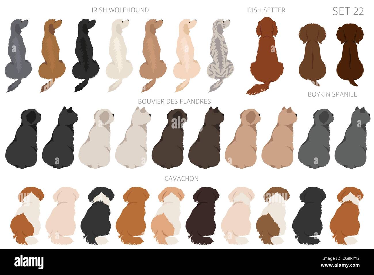 Sitting dogs backside clipart, rear view. Diifferent coat colors ...