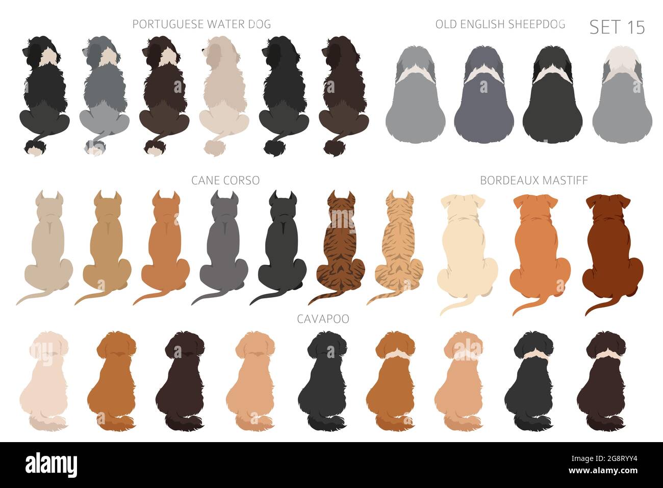 Sitting dogs backside clipart, rear view. Diifferent coat colors ...
