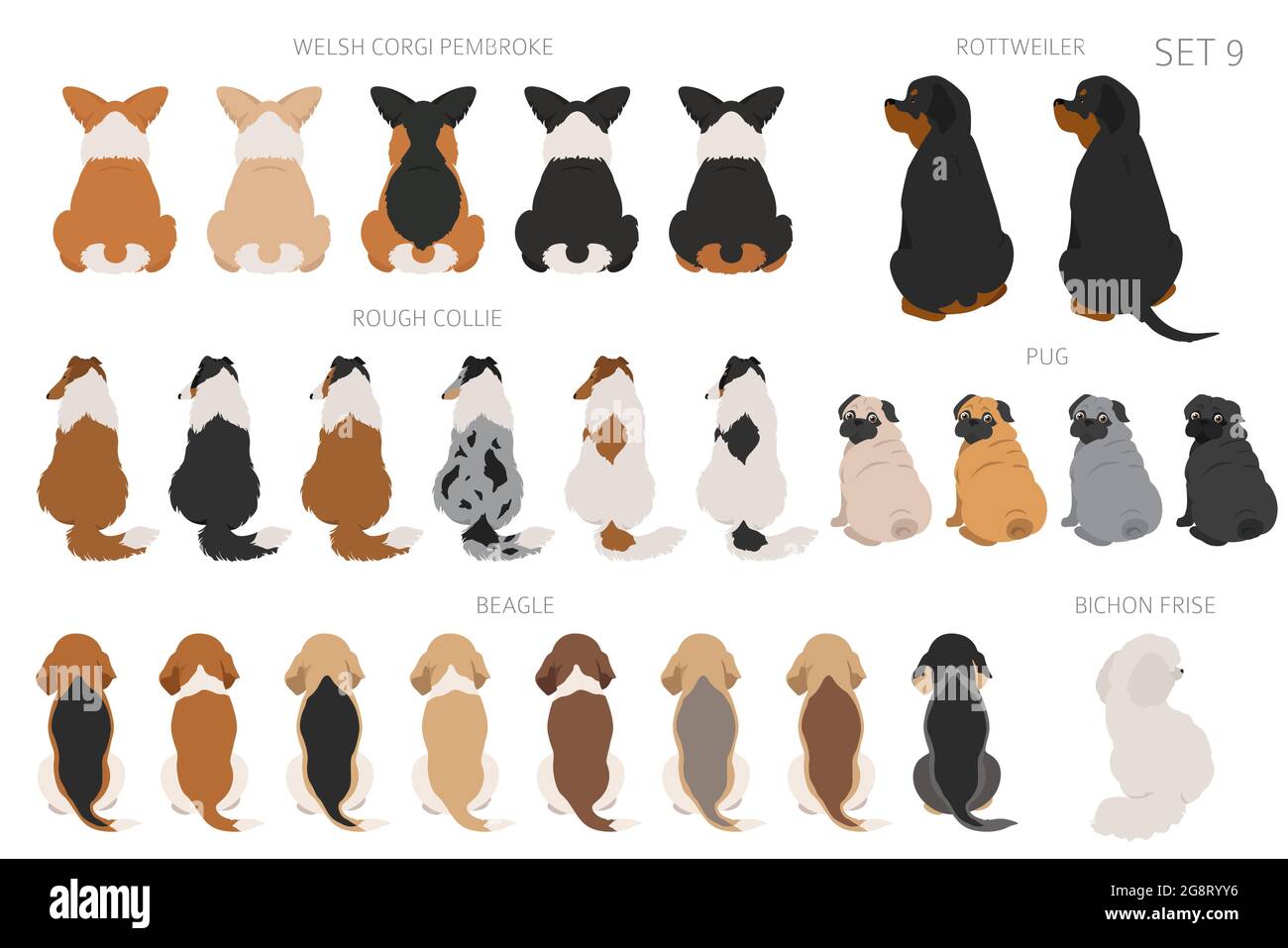 Sitting dogs backside clipart, rear view. Diifferent coat colors ...