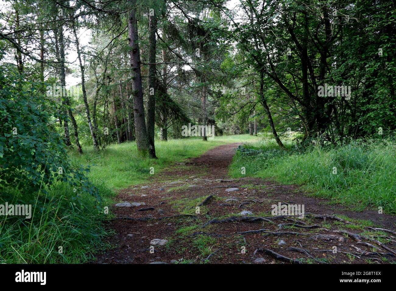Rough footpath hi-res stock photography and images - Alamy