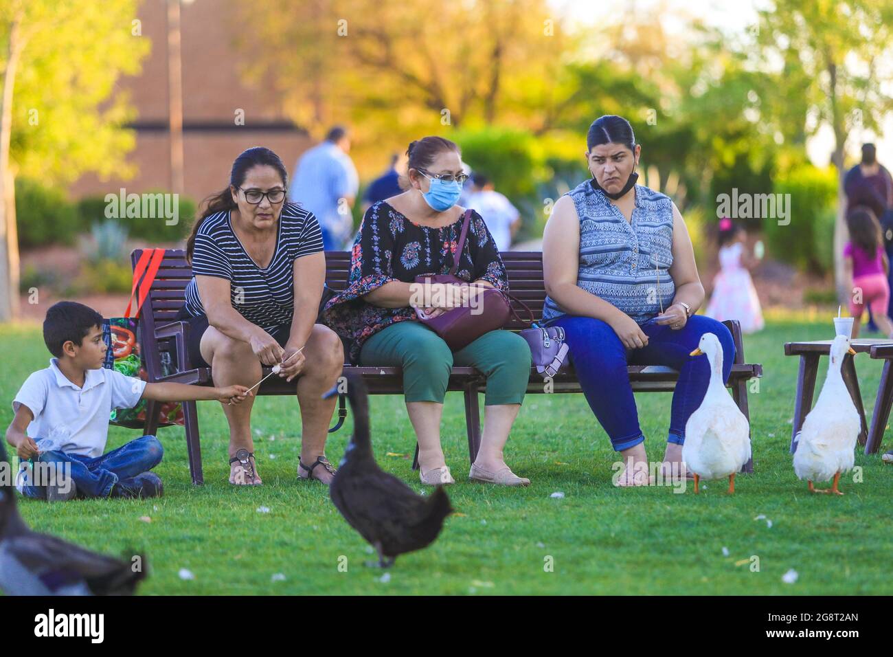 wildlife ducks coexist with people in wetland, Pato. (Photo: Luis ...