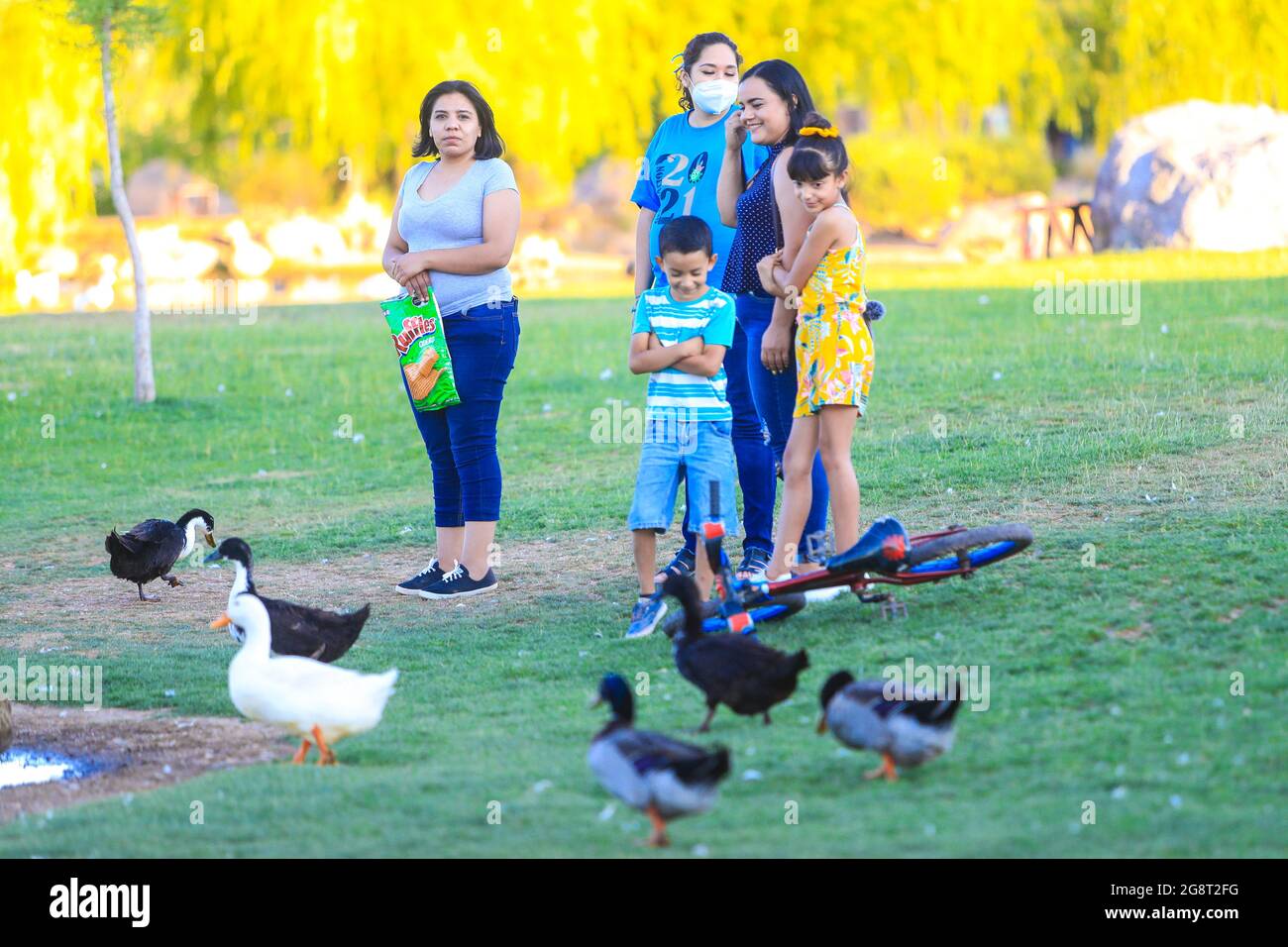 wildlife ducks coexist with people in wetland, Pato. (Photo: Luis ...
