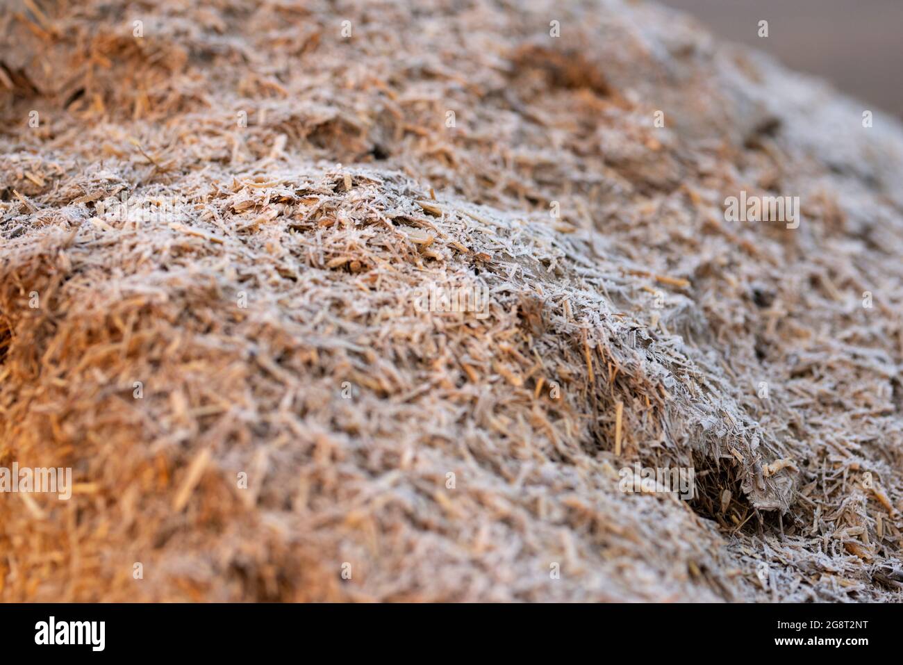 Dry straw agriculture background, Dry straw texture background Stock ...