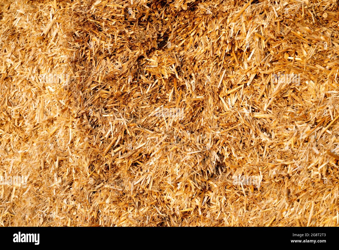 Dry straw agriculture background, Dry straw texture background Stock ...