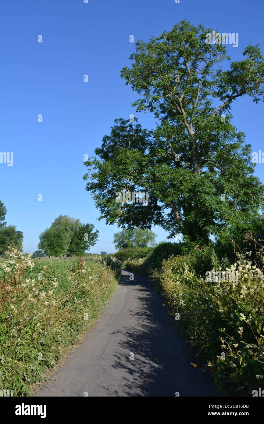 East chinnock somerset hi-res stock photography and images - Alamy