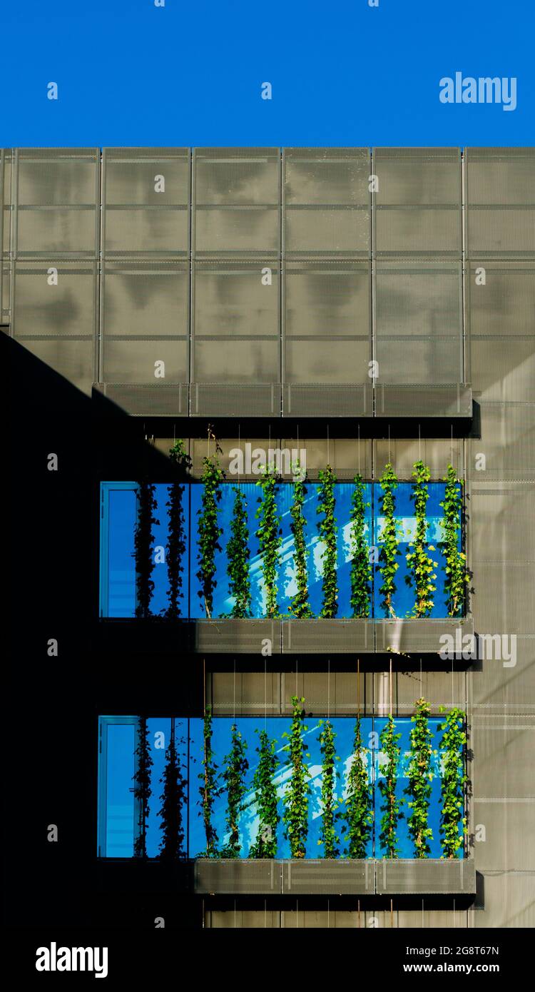 Beautiful view of the front facade of a modern building with glass ...