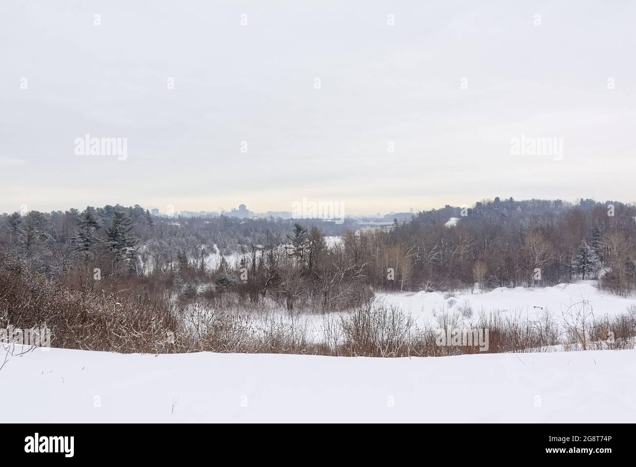 Snow covered valey with forest in Gatineau park, with misty Hull ...
