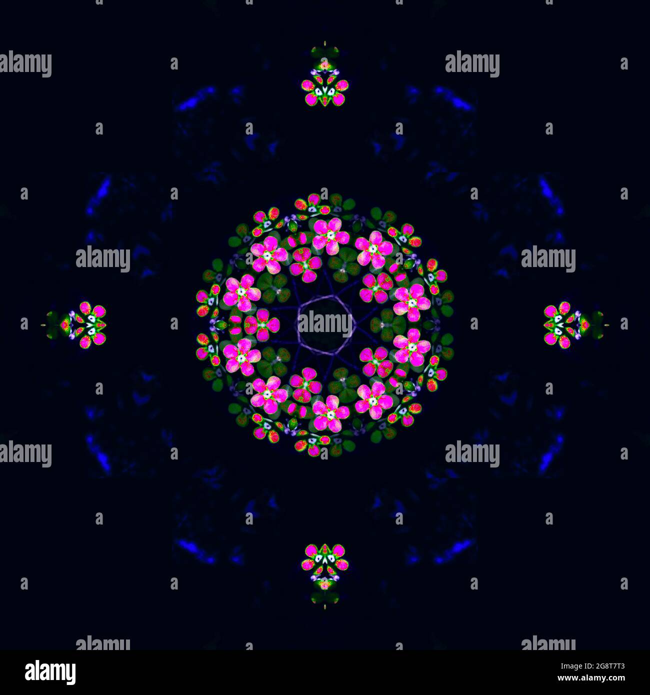 Circle of flowers pattern background Stock Photo - Alamy