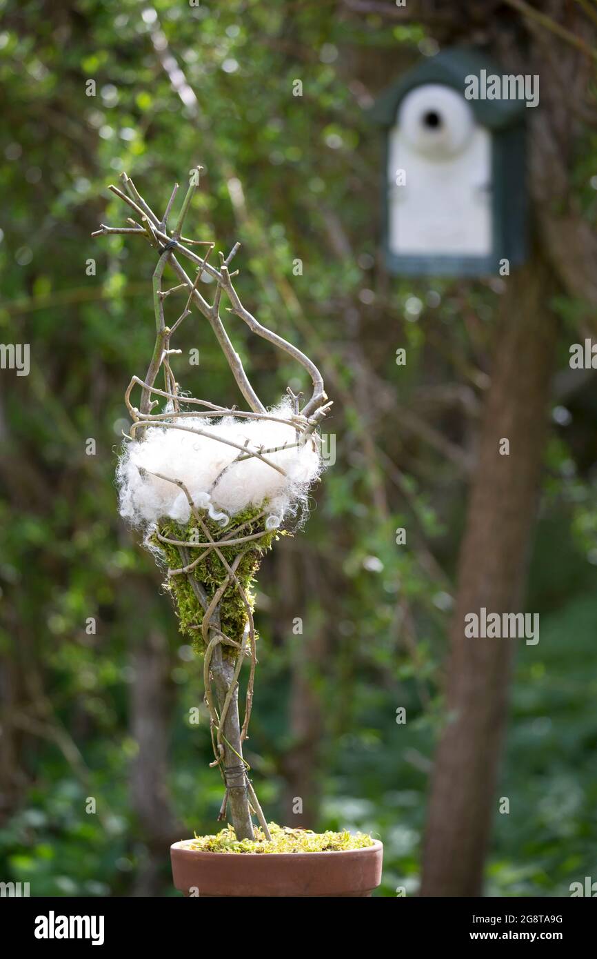 nesting material dispenser, birds in the garden are offered nesting ...