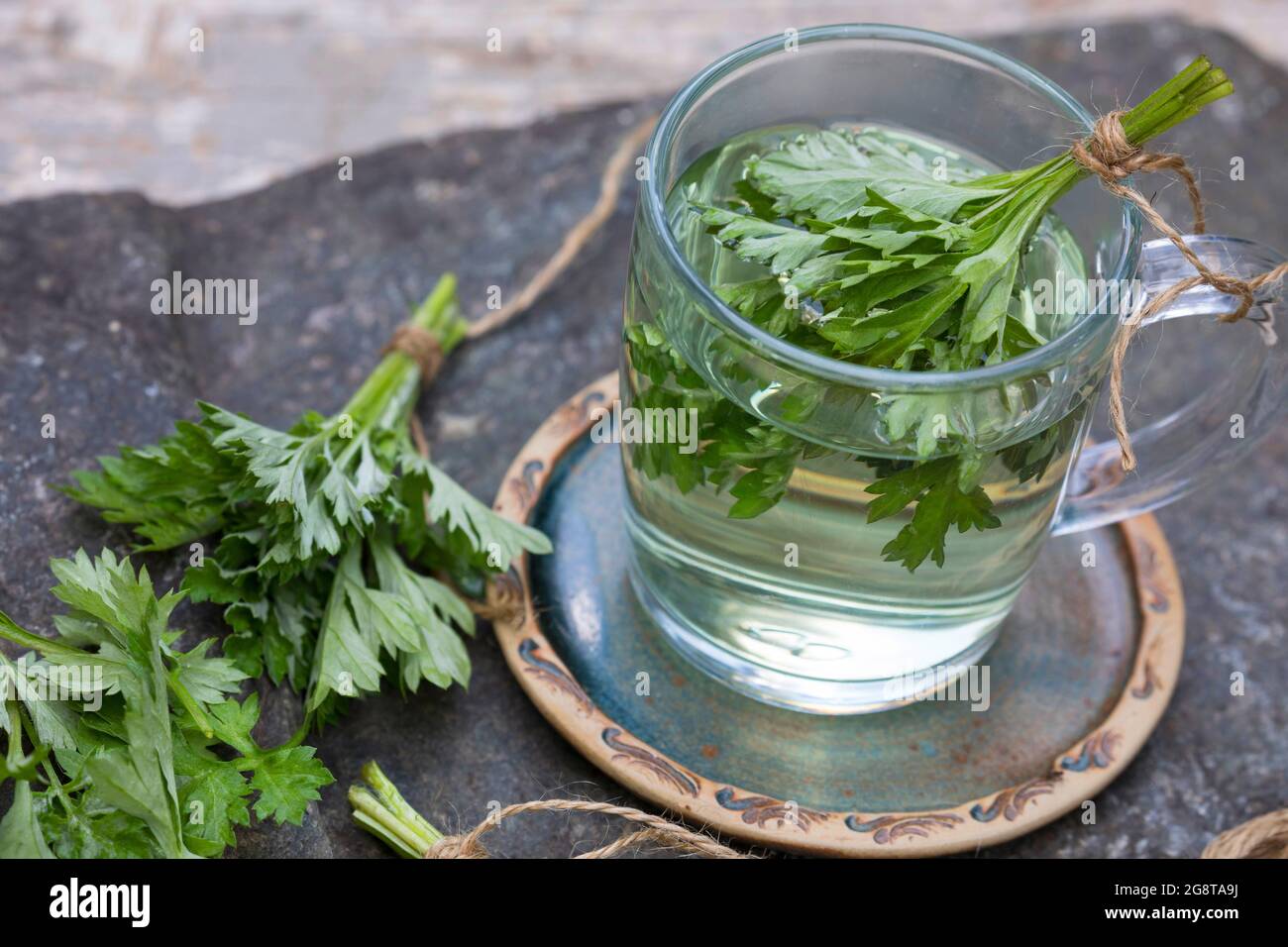 common mugwort, common wormwood (Artemisia vulgaris), selfmade tea of ...
