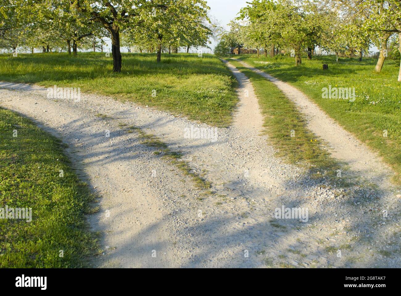 Parting of the ways hi-res stock photography and images - Alamy