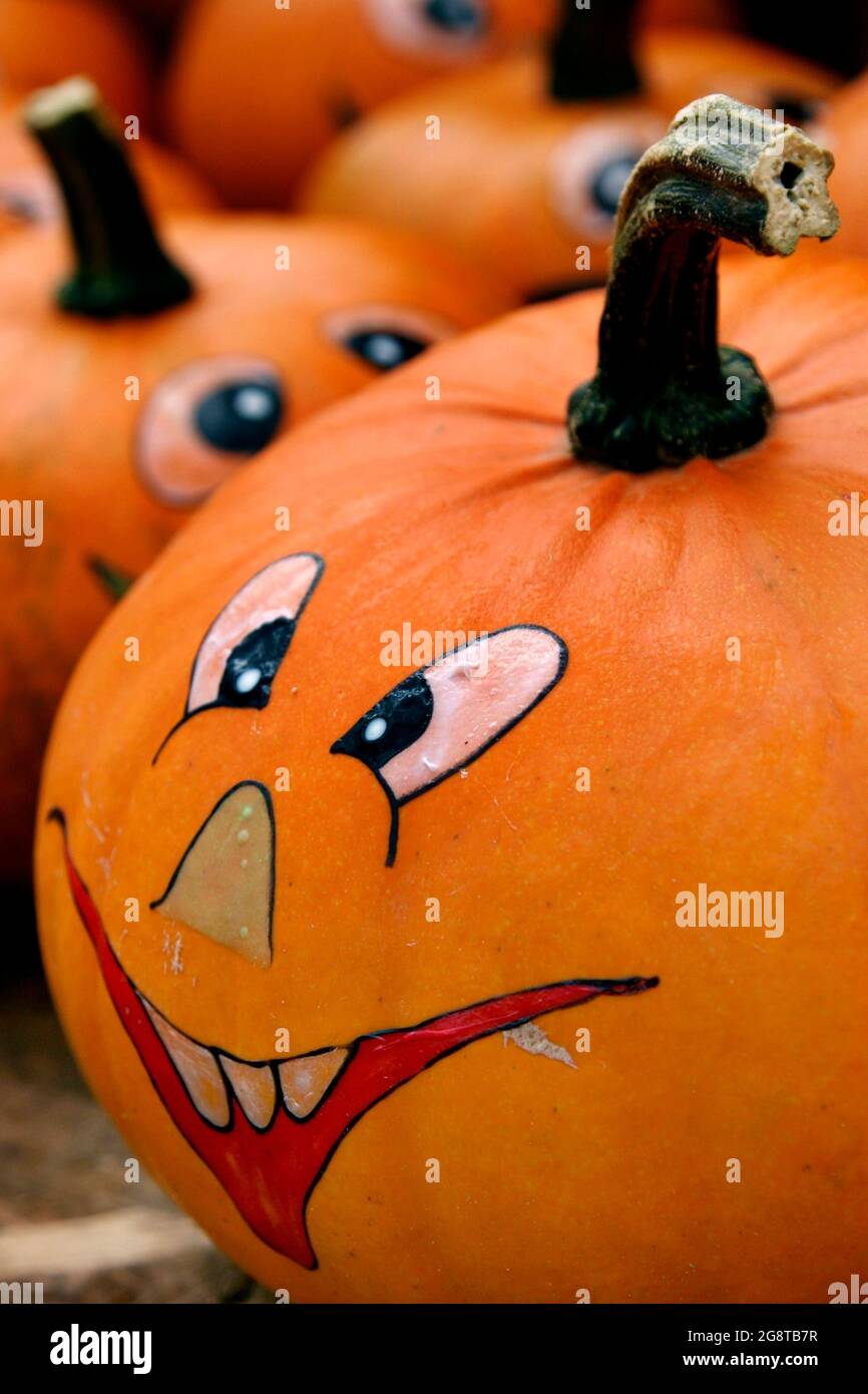 marrow, field pumpkin (Cucurbita pepo), handpainted pumpkins Stock ...