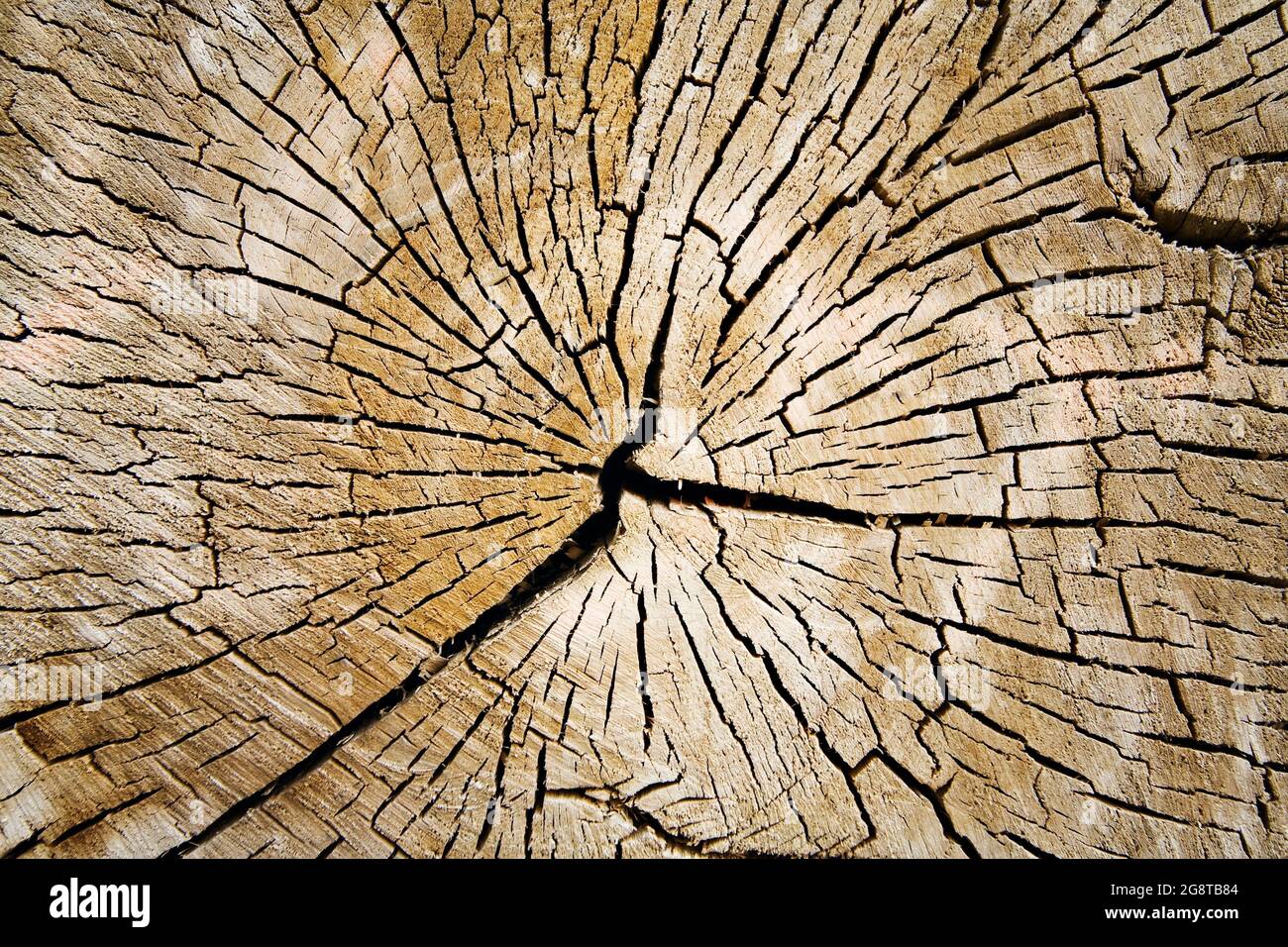 Timber structures hi-res stock photography and images - Alamy