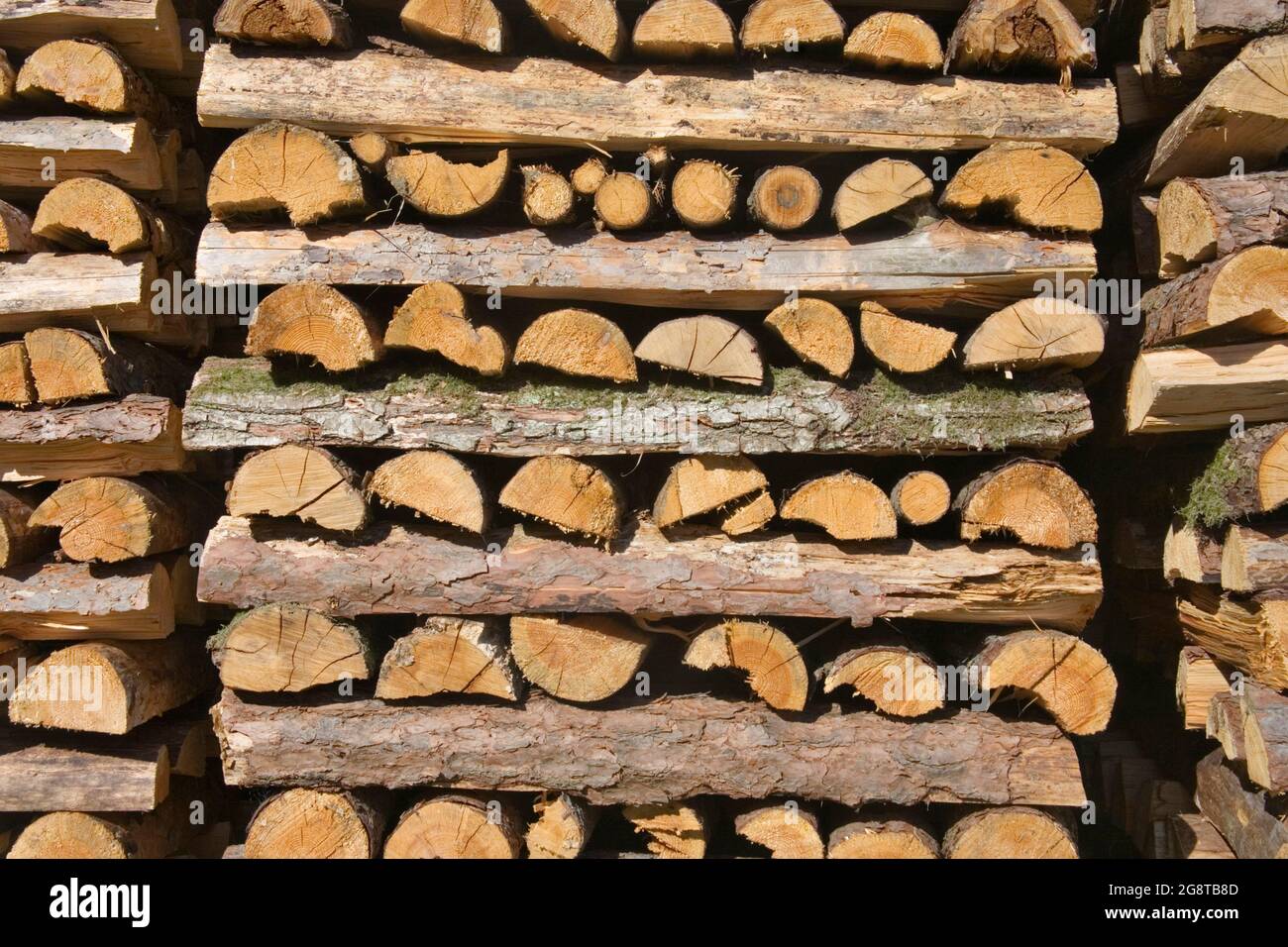 Stacking tree hi-res stock photography and images - Alamy