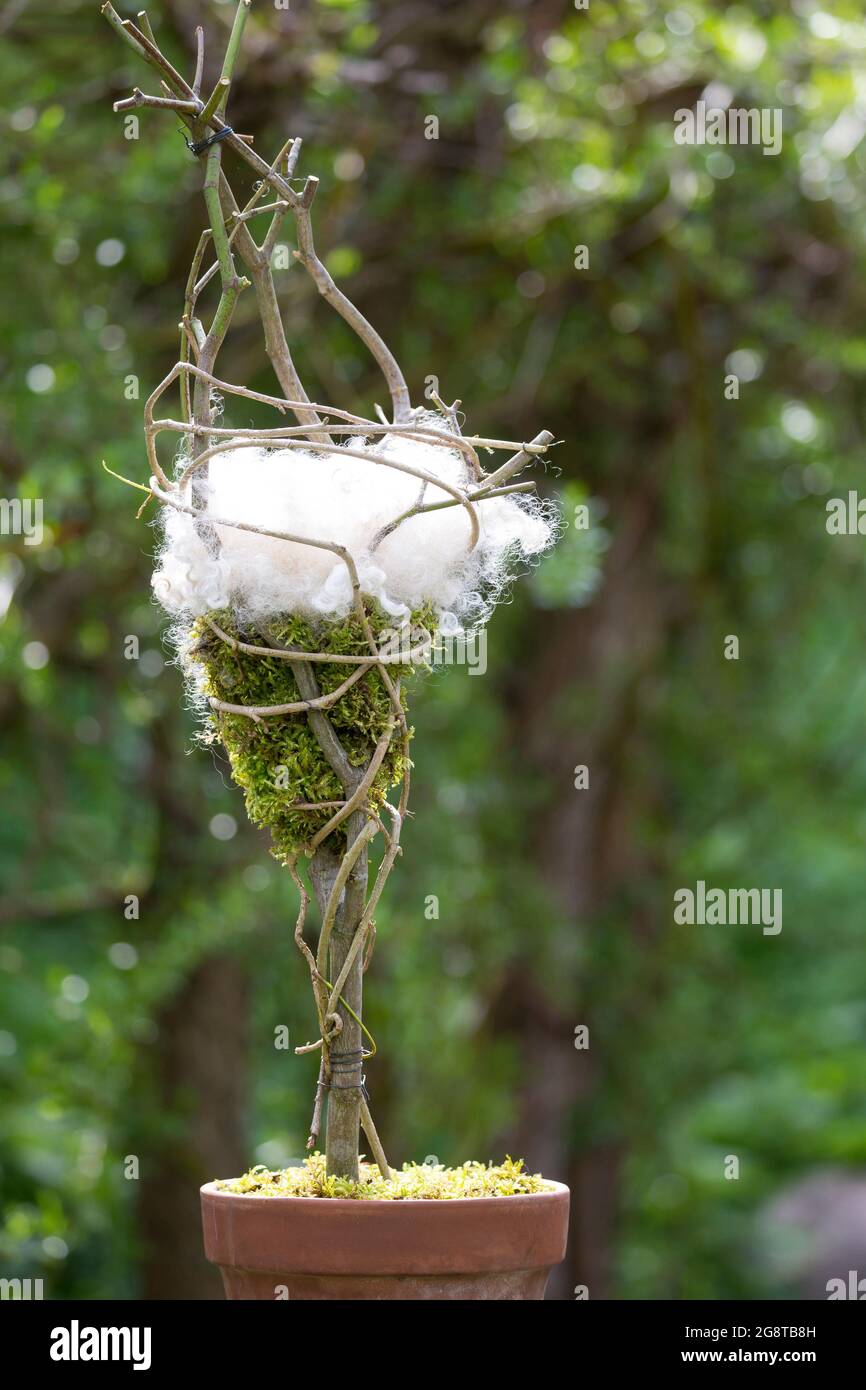 nesting material dispenser, birds in the garden are offered nesting ...