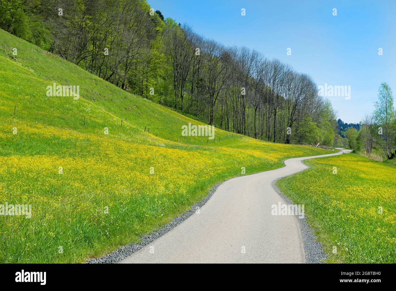 Through the meadows hi-res stock photography and images - Alamy
