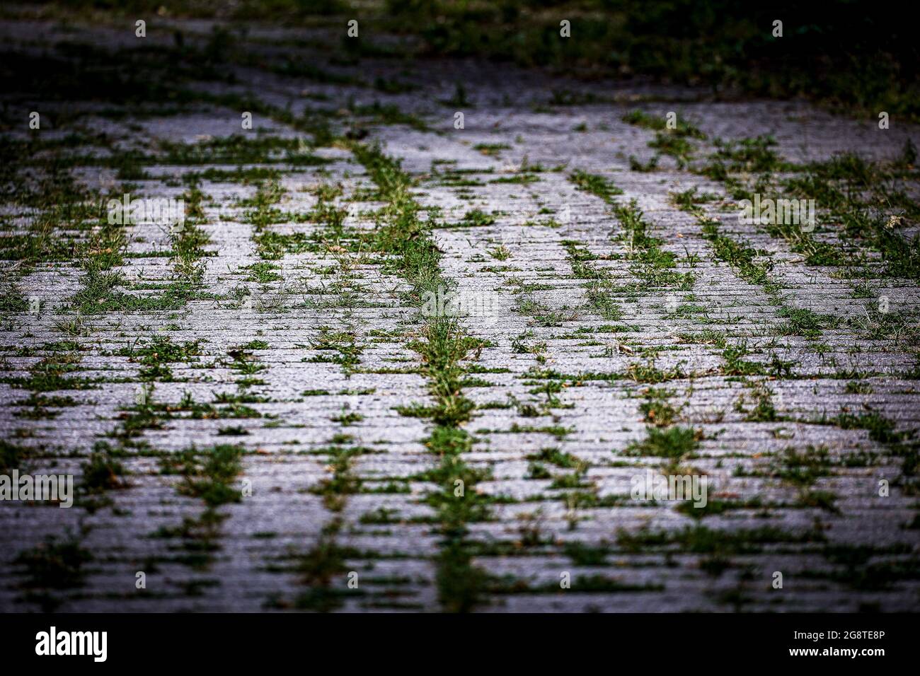 track, piste, ambiance during the 6 Hours of Monza, 3rd round of the ...