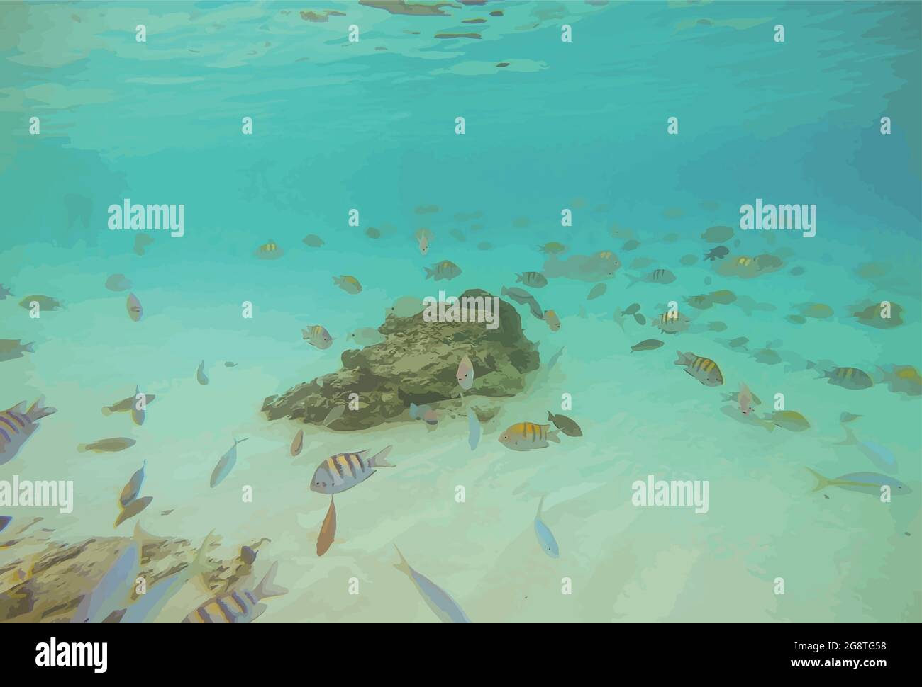 Snorkeling in the Virgin Islands background, tropical fish vector Stock ...