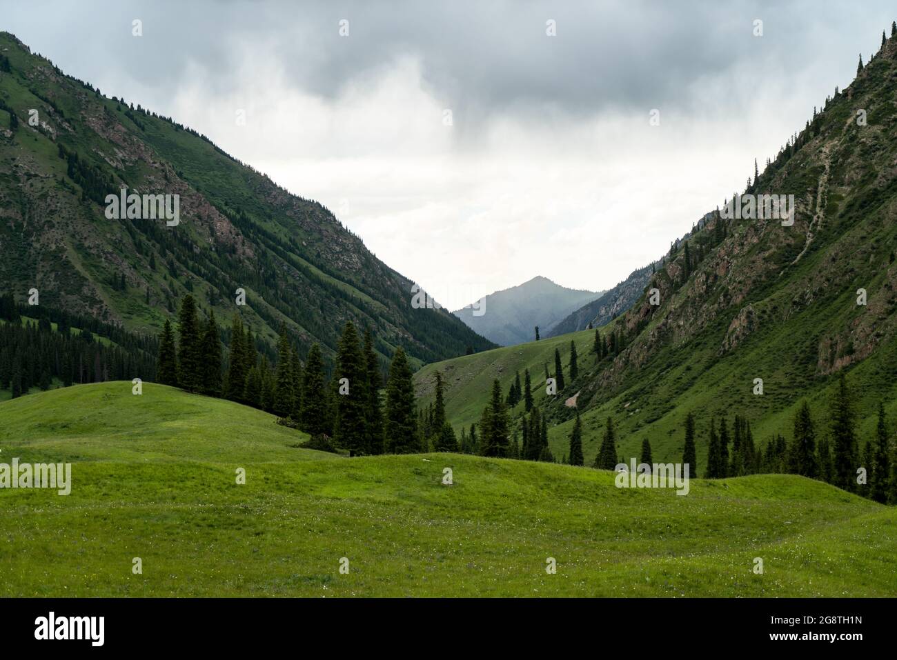 Yili xinjiang hi-res stock photography and images - Alamy