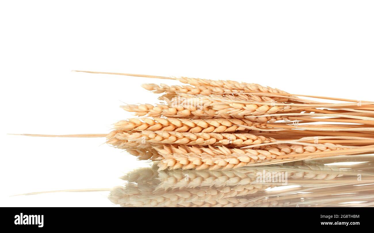 beautiful ears isolated on white Stock Photo - Alamy