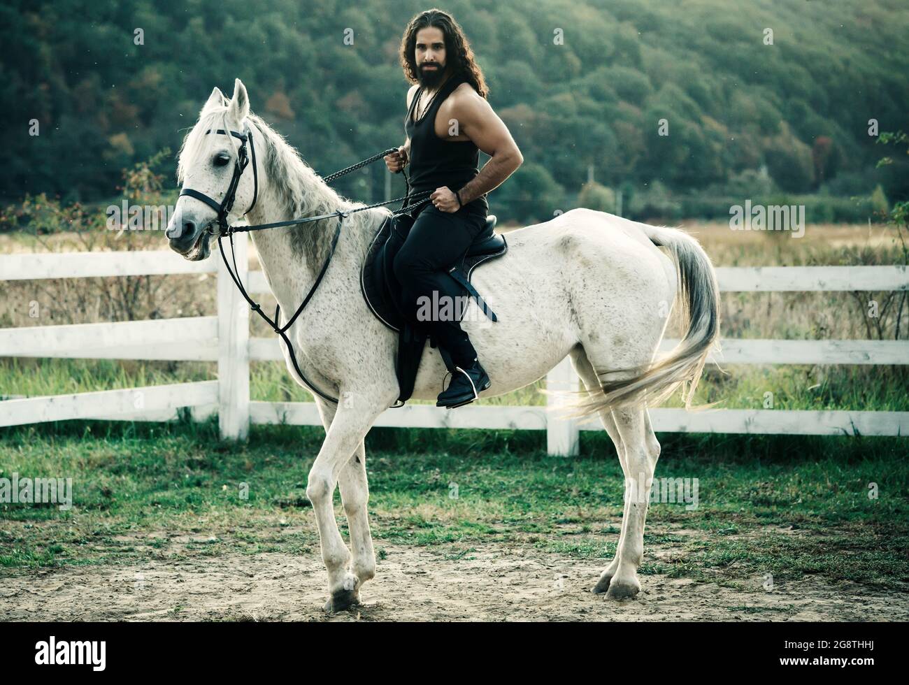 Full length of young handsome man sitting on his white stallion at the ...
