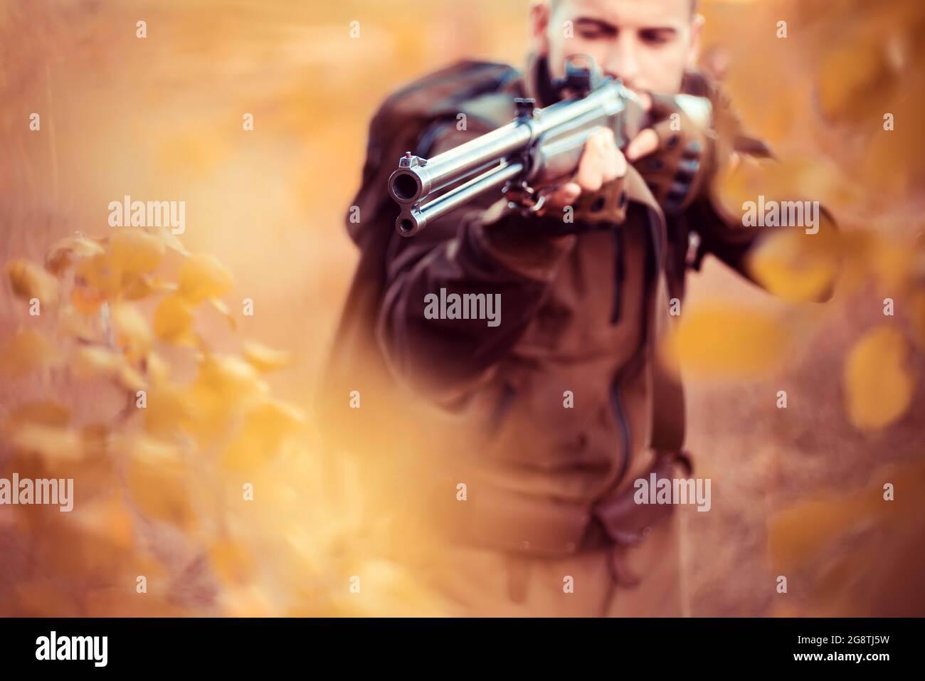 Autumn hunting season. Hunter aiming rifle in forest. Barrel of a gun ...