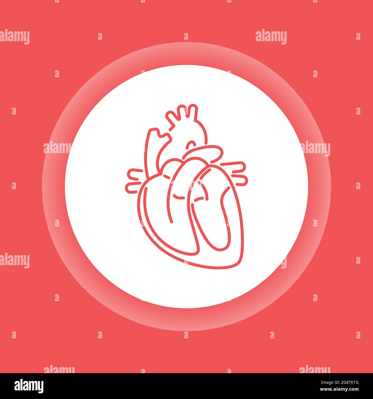 Cardiovascular system support Stock Vector Images - Alamy