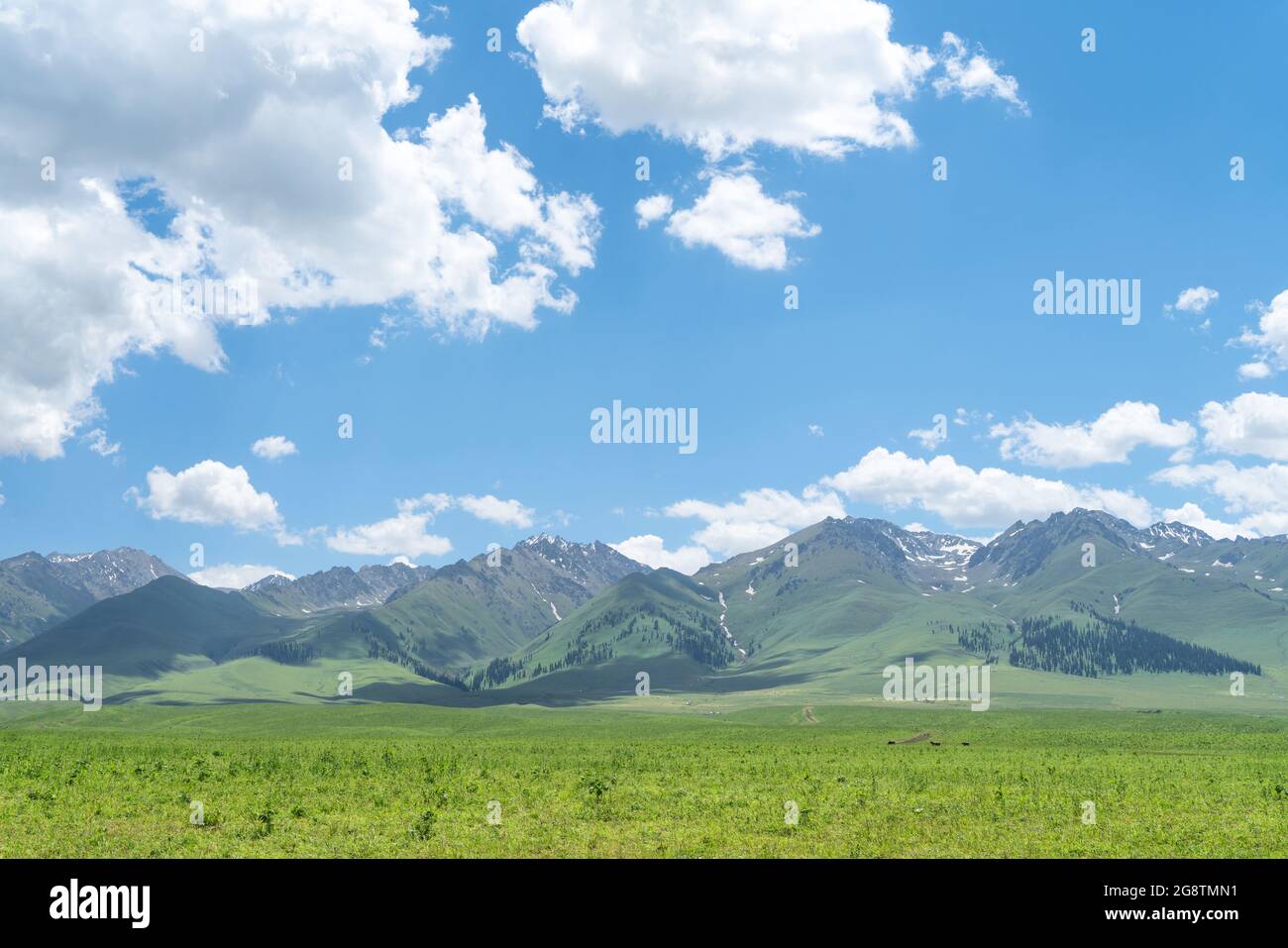 Nalati grassland hi-res stock photography and images - Alamy