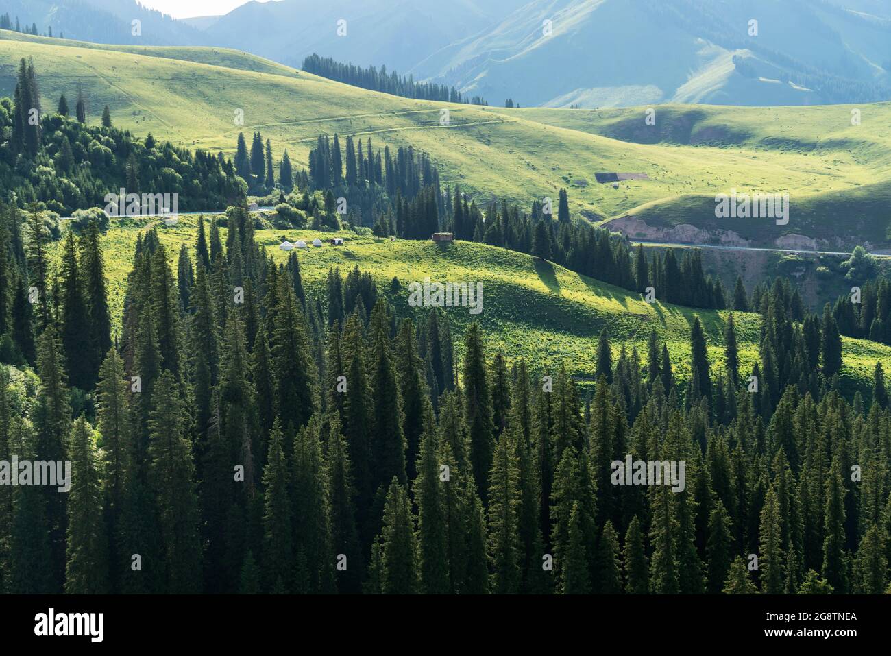 Mountains and forest In an aerial view. Shot in xinjiang, China Stock ...