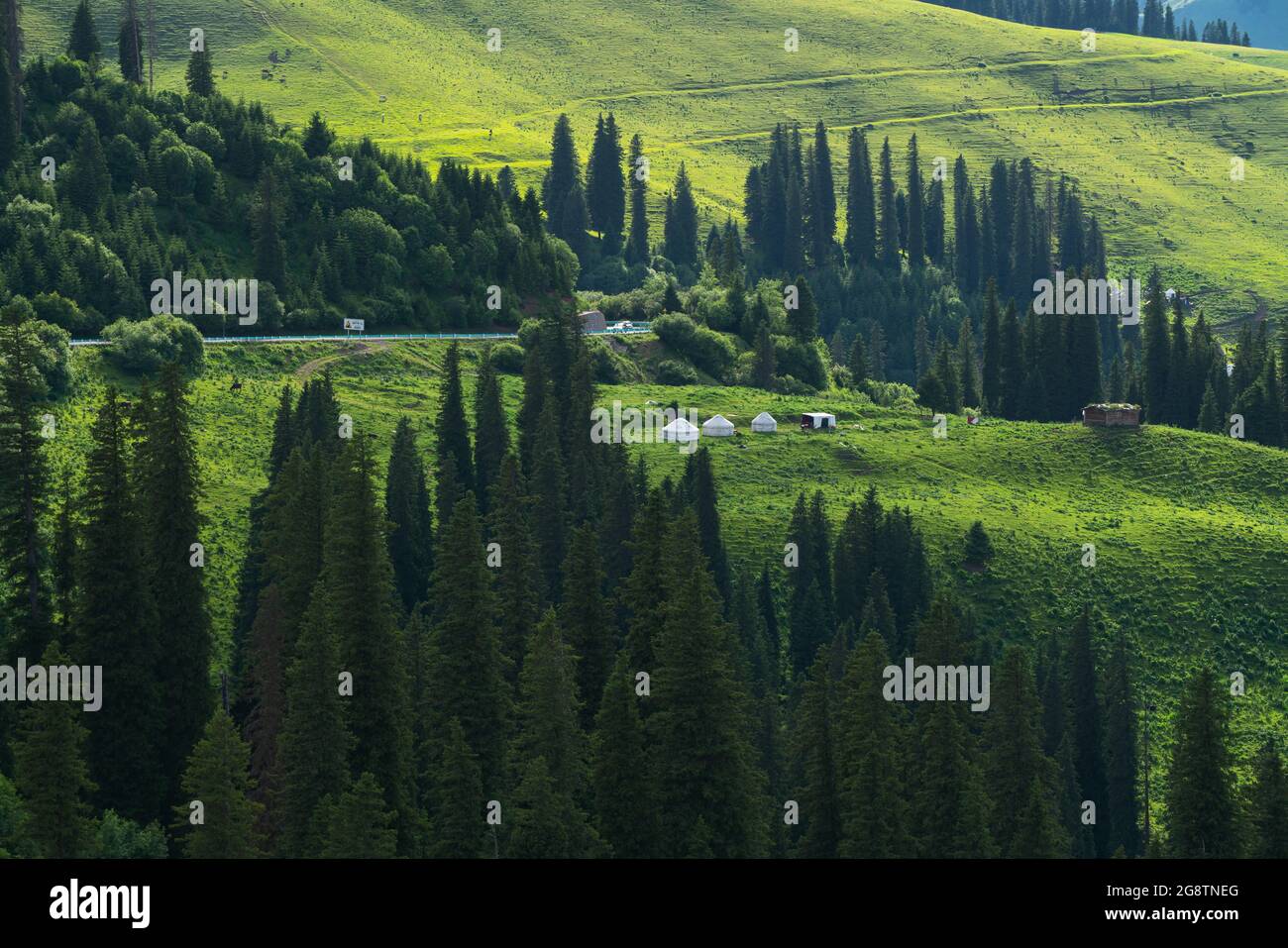 Xinjiang forest hi-res stock photography and images - Alamy