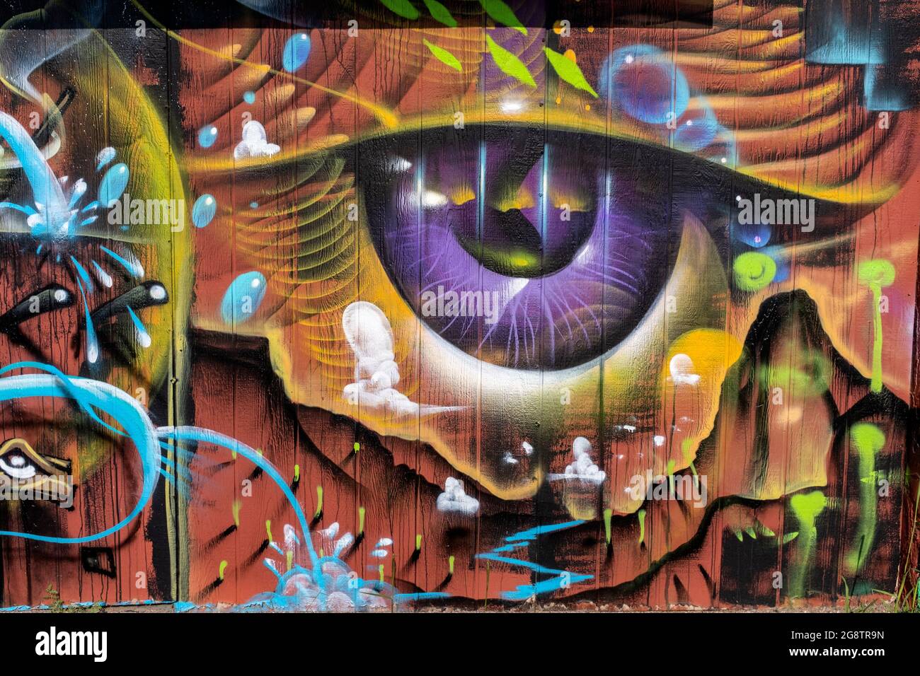 Vyal eyes hi-res stock photography and images - Alamy